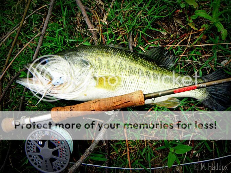 Mud Hole Bass – Grand Passage