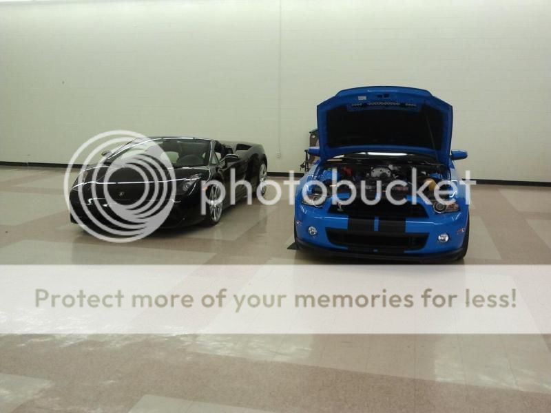 Cars for Critters car show pics - CorvetteForum - Chevrolet Corvette ...