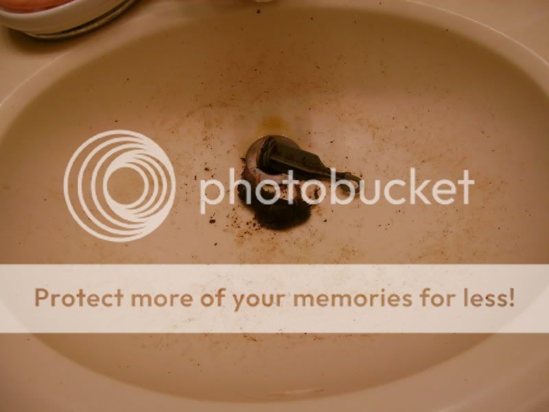 Is it normal for a sink to puke up a dead mouse or do I have a demon ...