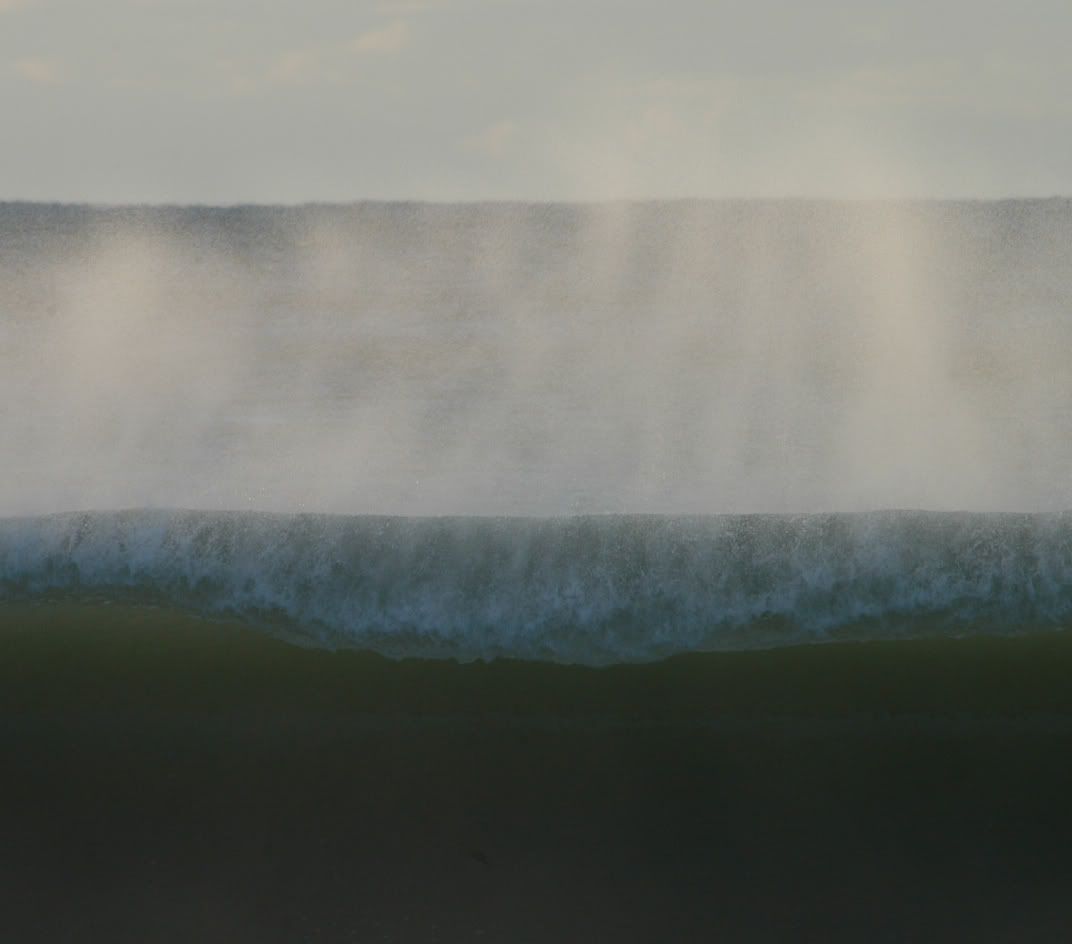 Wollongong/Shellharbour Area PICS Sunday, 9th - RealSurf Surfers' Forum