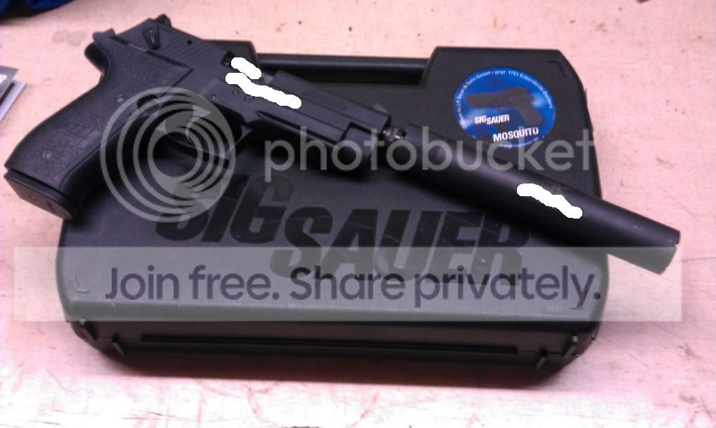 Mosquito or P22 > Rimfire Pistols > AR15.COM