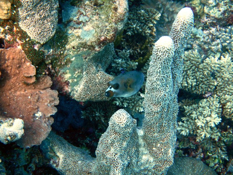 December Photo of the Month Entry Thread - BEST PIC of the YEAR ...