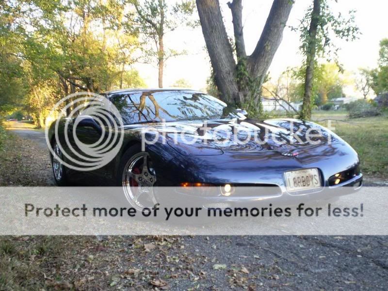 New pics with NEW camera - CorvetteForum - Chevrolet Corvette Forum ...