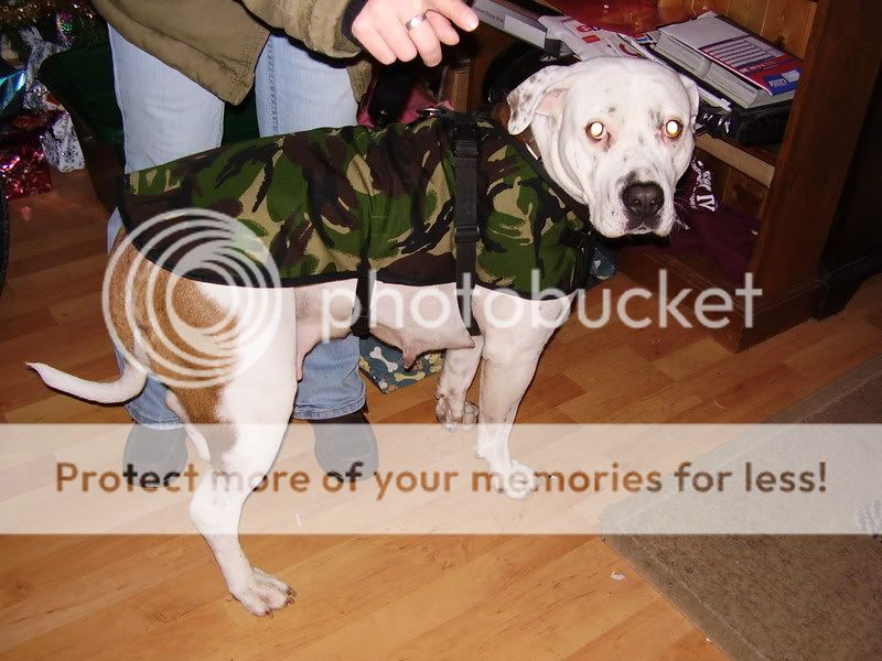 post your dogging pics!!!! | Page 2 | KTM Owners Forum