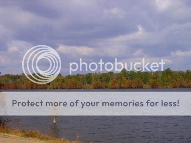 Larto information and report