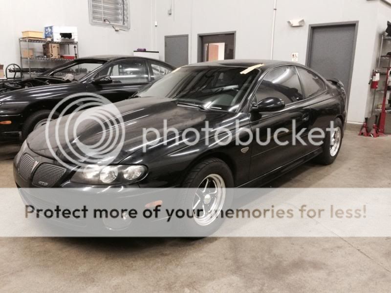 Another GTO rolls out with a cage, mini tubs and Gforce 9" | LS1GTO Forums