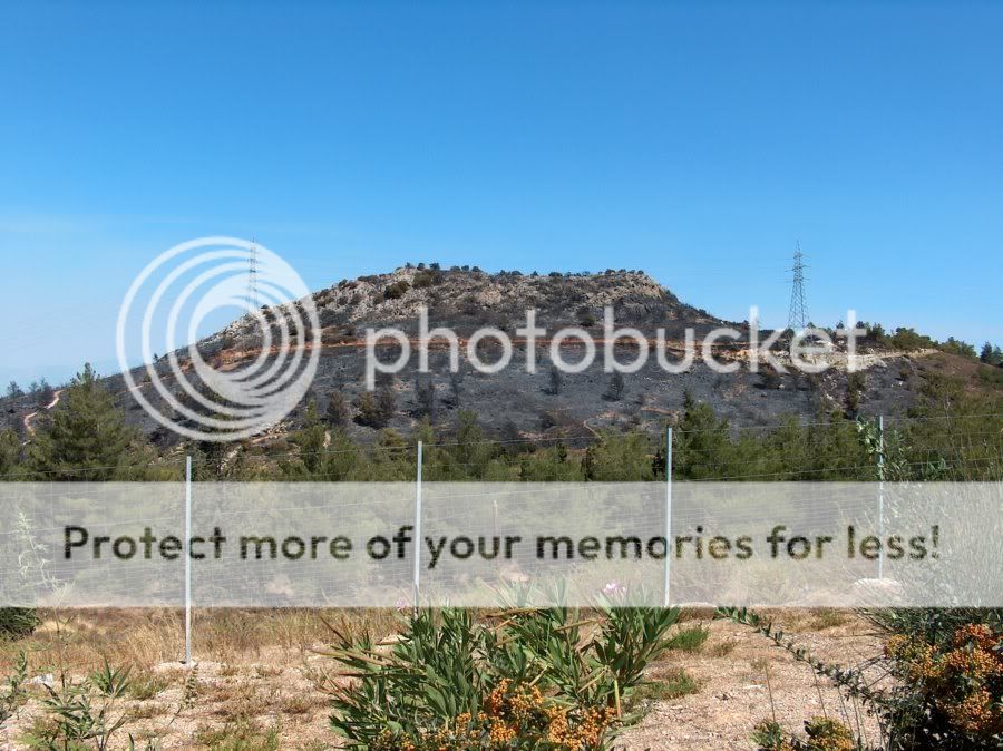 Athens - Papagos Suburb under fire!!! - My pictures | SkyscraperCity Forum