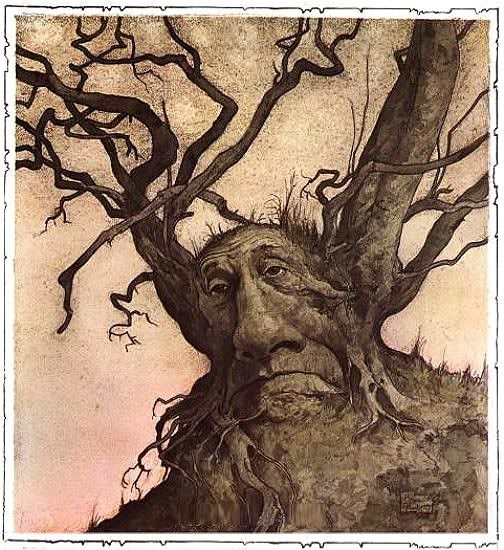 FAERIES ~ WRITTEN & ILLUSTRATED BY ALAN LEE & BRIAN FROUD ~ FAIRY ...