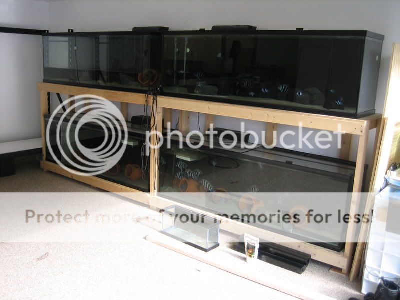 Two Tiered Aquarium Rack: Fits 2 - 125 Gallon Tanks ...